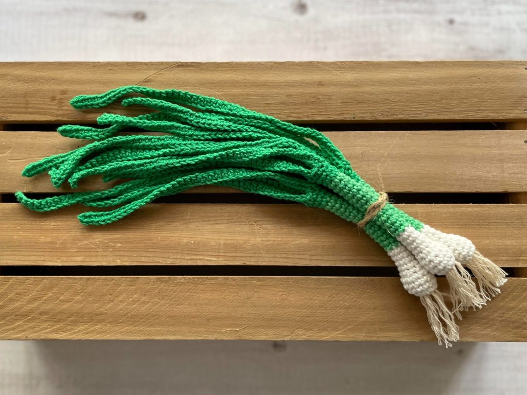 Green Onion Free Crochet Pattern + Video Tutorial - Off the Beaten Hook